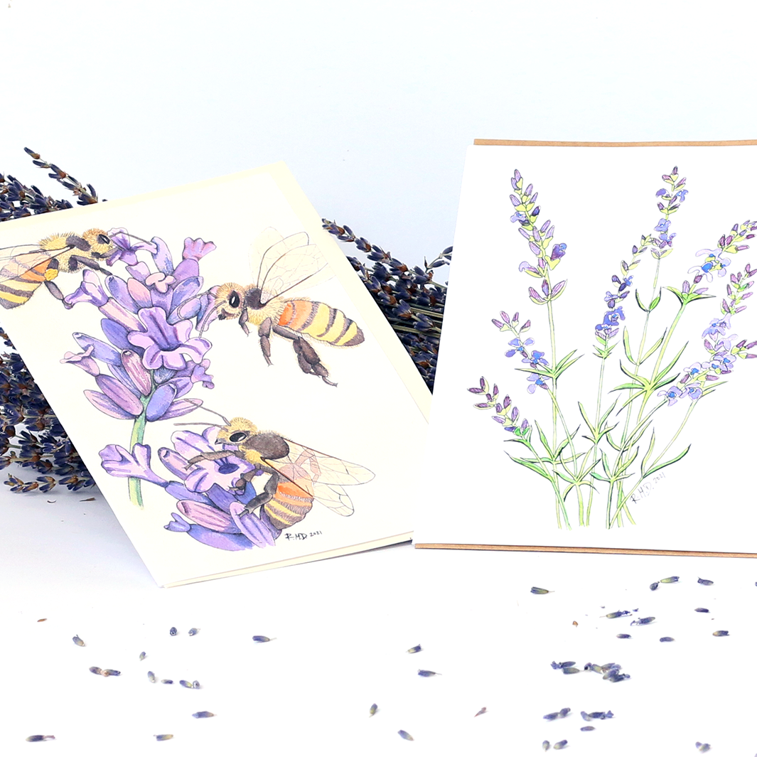 Lavender Greeting Cards - Artist Rachel Dols – Applegate River Lavender